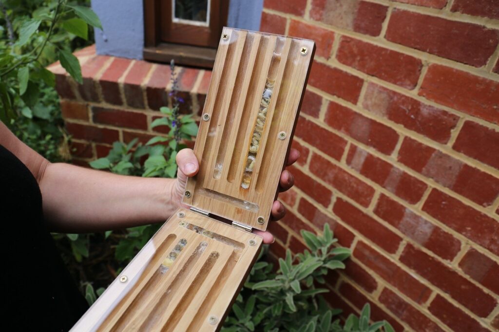 World Bee Day: Finding Inspiration From Melbourne Home Gardens ...